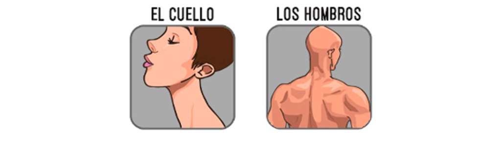 Rasgos físicos del personaje