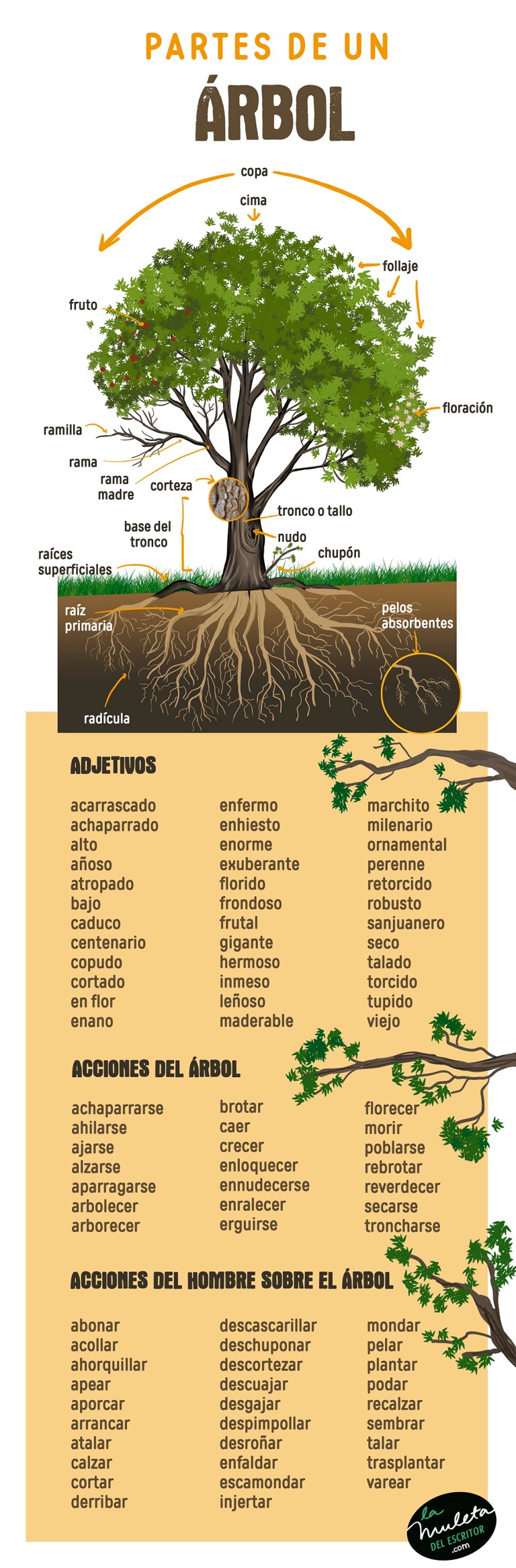 Describir un árbol